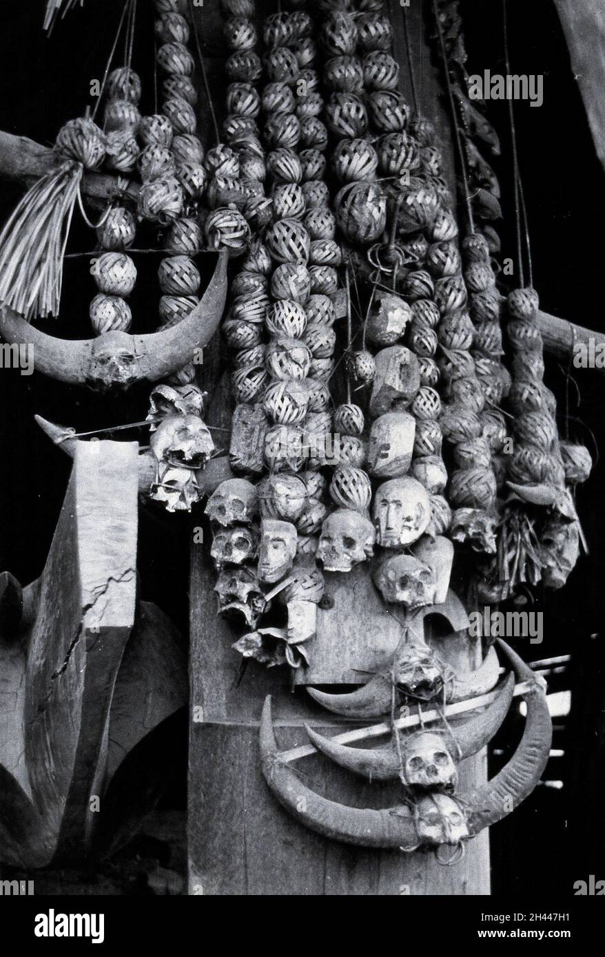 Trophies of a headhunter's house of the Chang Naga tribe, India ...