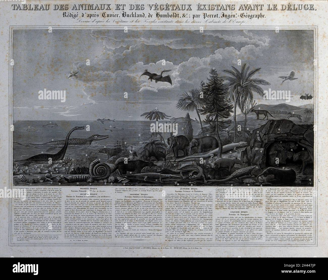 Antediluvian hi-res stock photography and images - Alamy