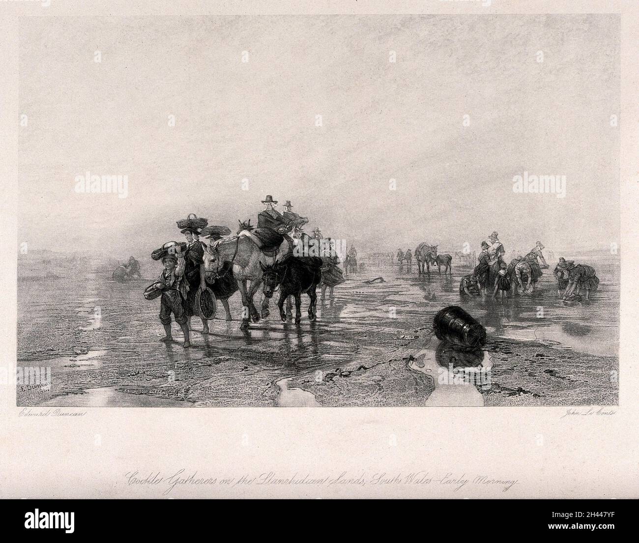 John le conte hi-res stock photography and images - Alamy