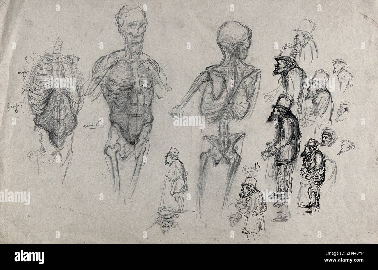 A skeleton seen in three views and sixteen sketches of a bearded old ...