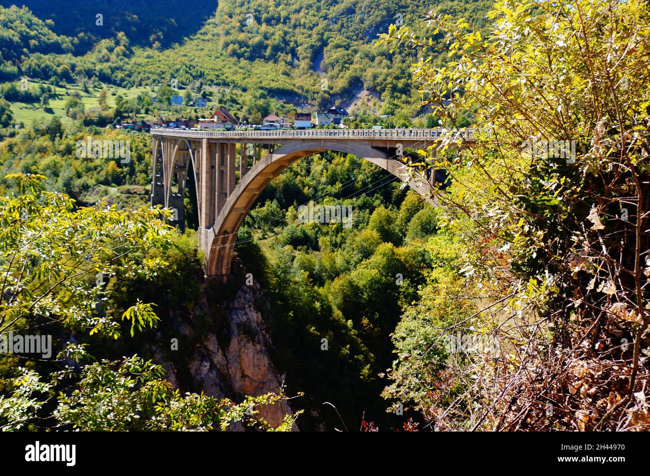 Bridge over Canyon of Tara River, Montenegro Stock Photo - Alamy