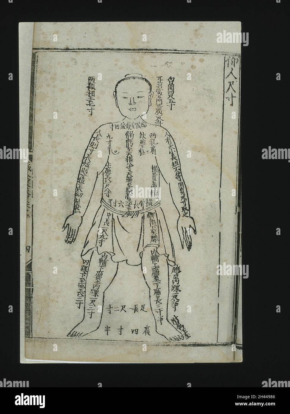Anatomical measurements, supine figure, Chinese woodcut Stock Photo - Alamy