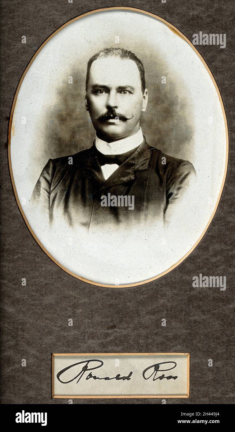 Sir Ronald Ross. Photograph, c.1890 Stock Photo - Alamy