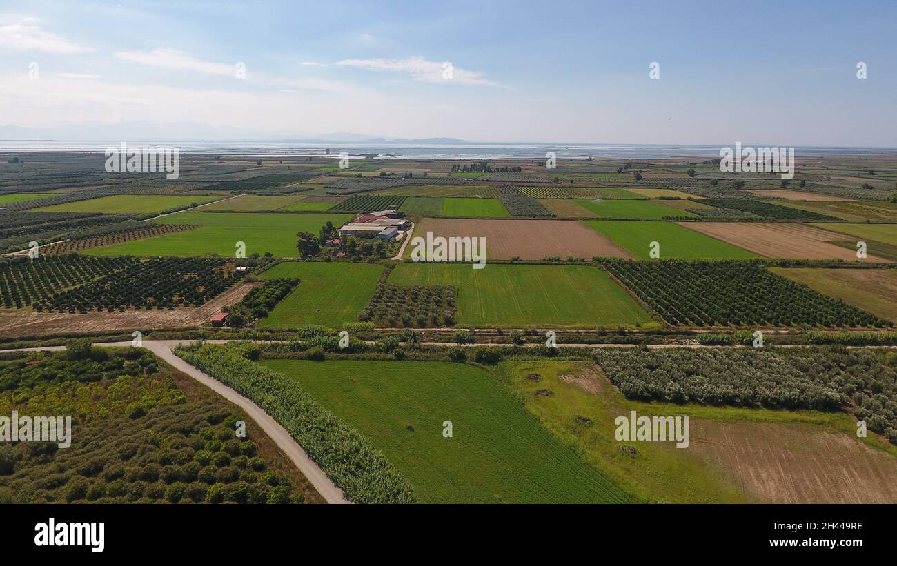 Aerial view of trees and agricultural farm crops in Greece Stock Photo ...
