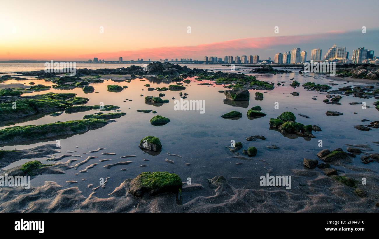 The mossy rocks over the small pool on the sandy beach after the tide ...