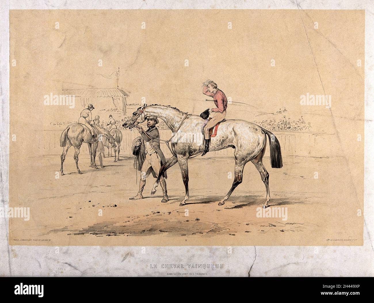 A winning race horse and jockey are led from the race course. Coloured ...