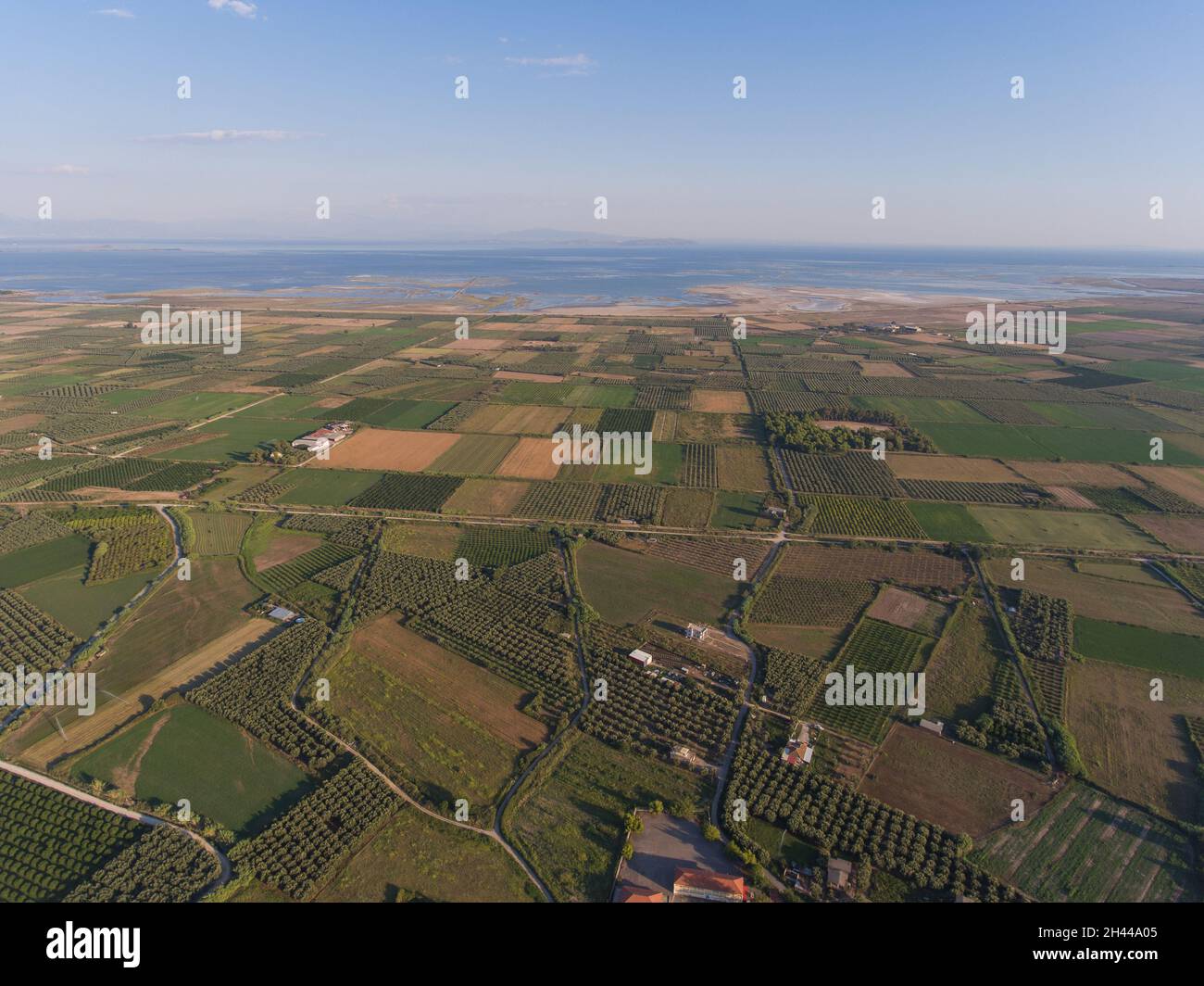 Aerial view of trees and agricultural farm crops in Greece Stock Photo ...