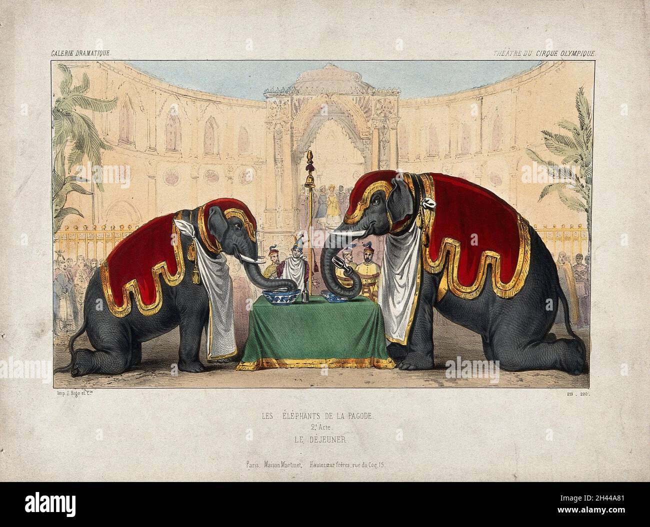 Two circus elephants performing to a crowd by drinking and eating from ...