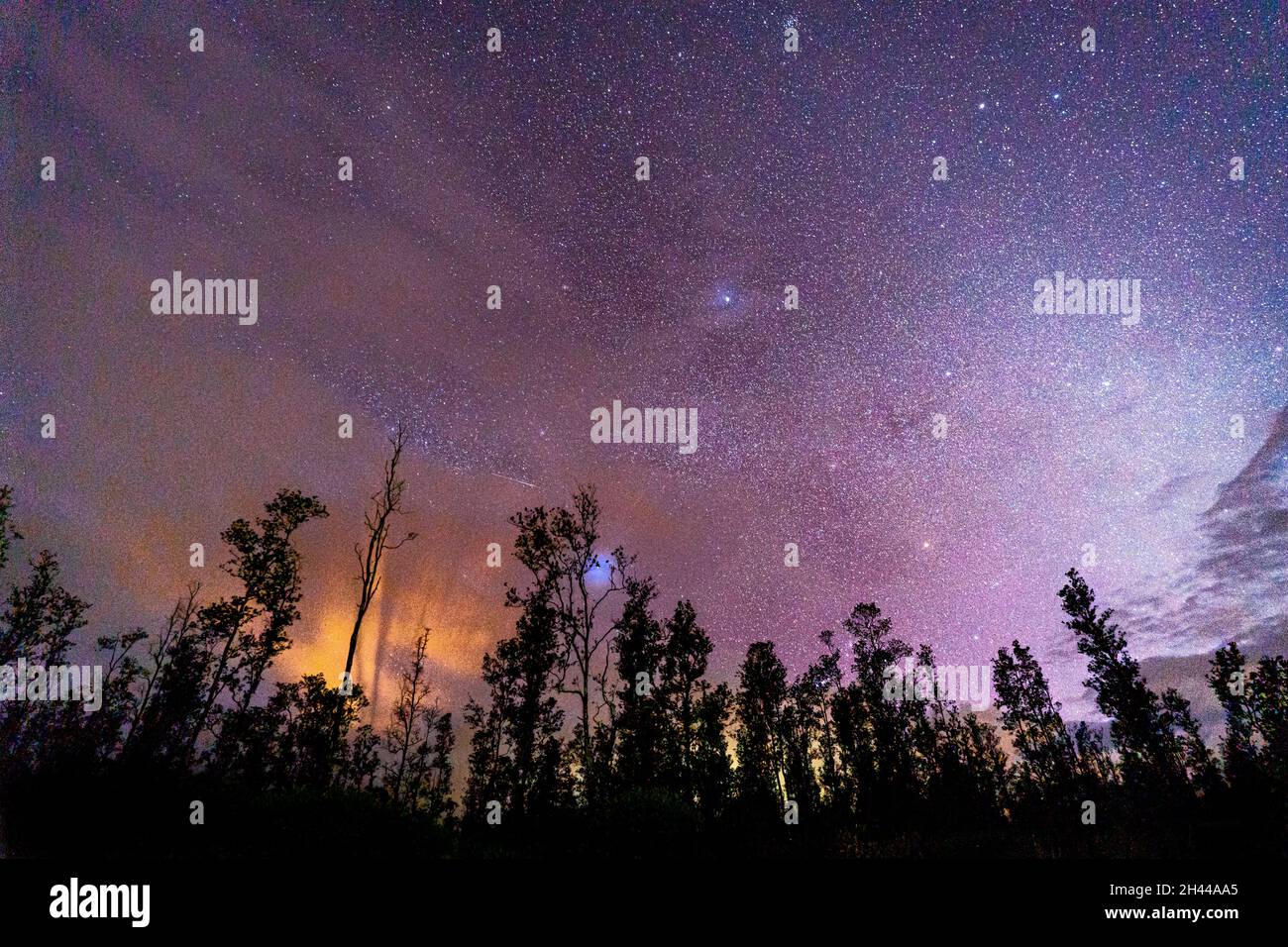 Night view dense high hi-res stock photography and images - Alamy
