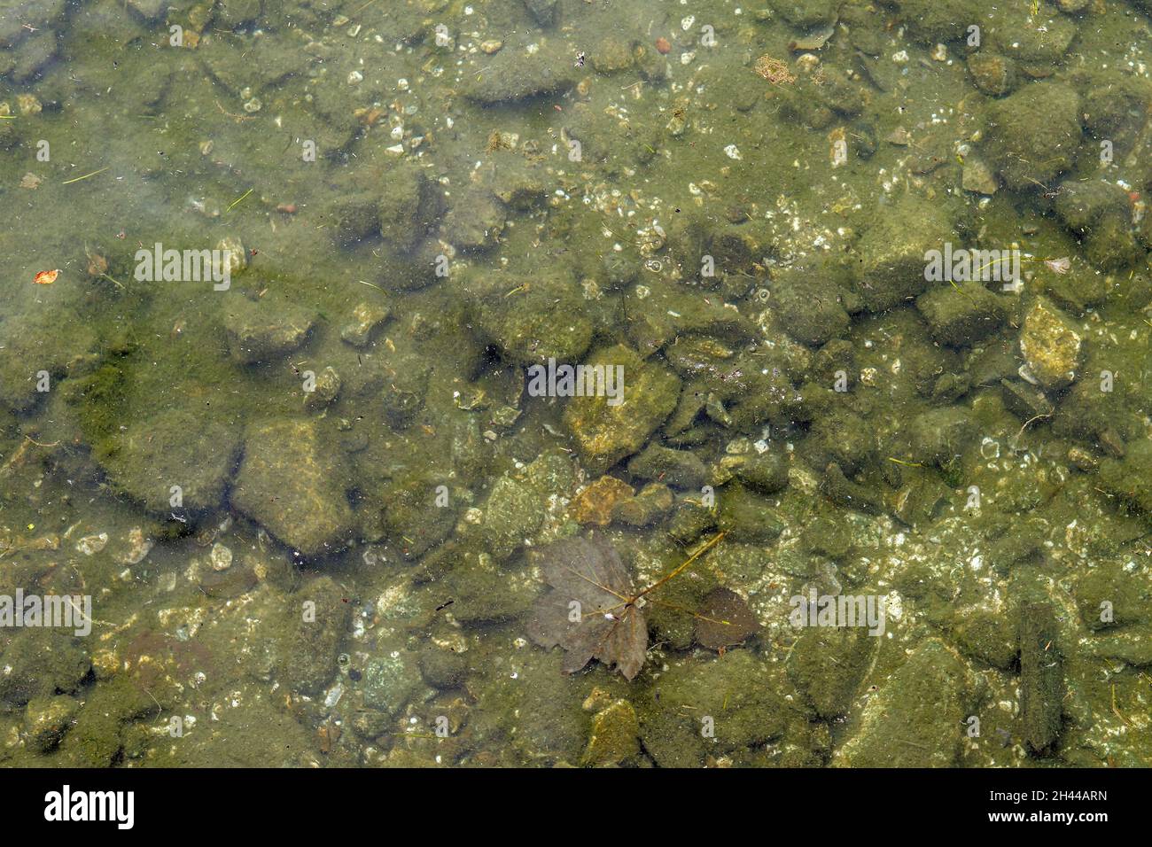 Fresh water tidal lake hi-res stock photography and images - Alamy