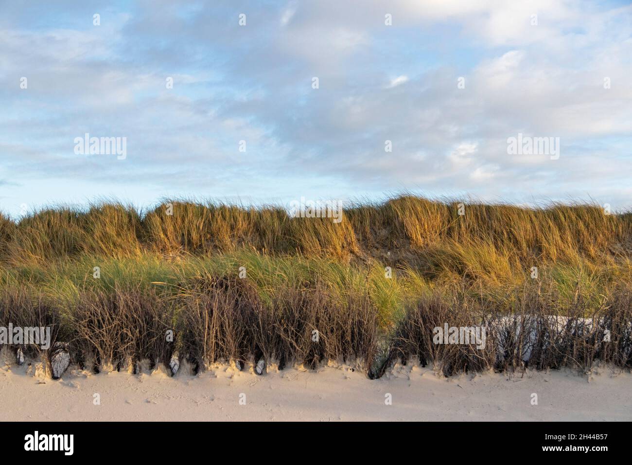 Fascine hi-res stock photography and images - Alamy