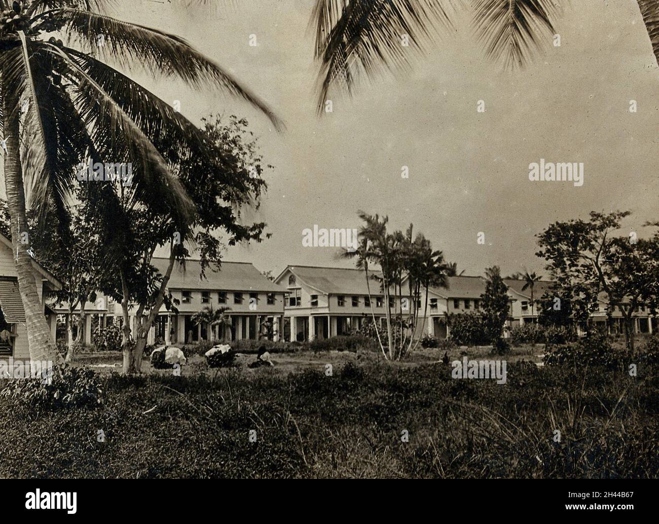 Leper asylum, Guyana (formerly British Guiana): residences for the ...