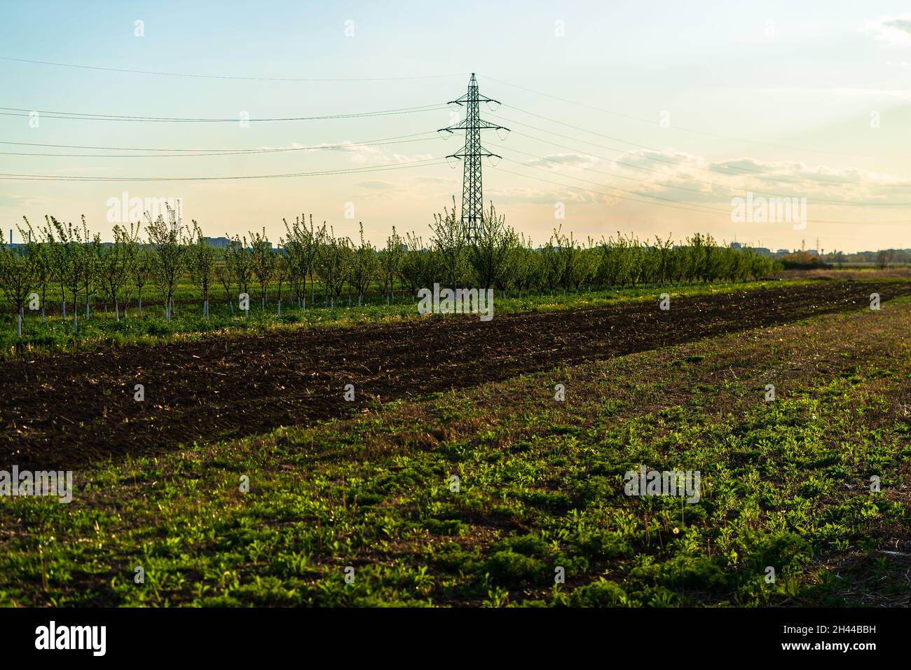 Countryside farming land. Land prepared for farming. Agriculture ...