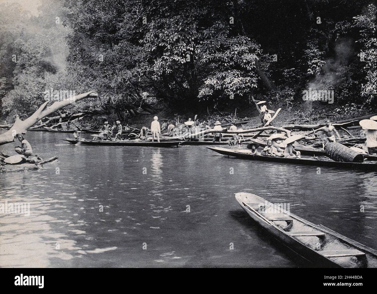Sarawak: a native Malaysian tribe fishing on the Baram River ...