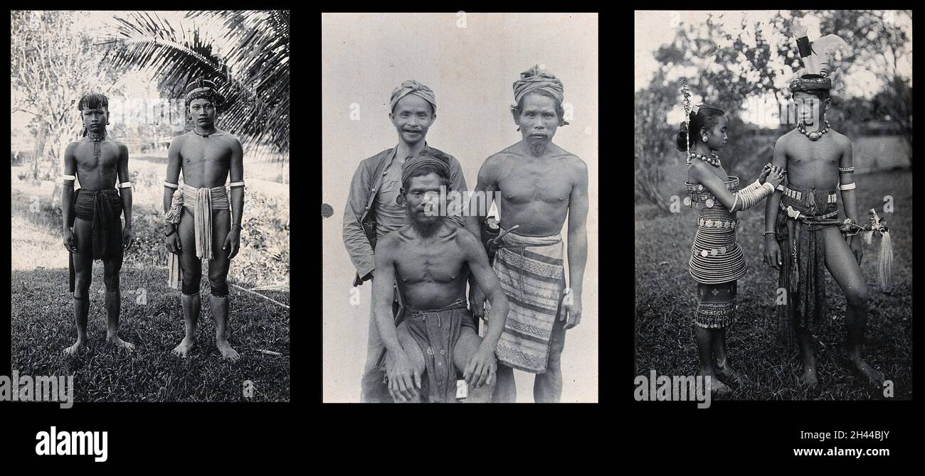 Sarawak: a Kayan and Sea Dayak man, three Land Dayaks, and a Sea Dayak ...