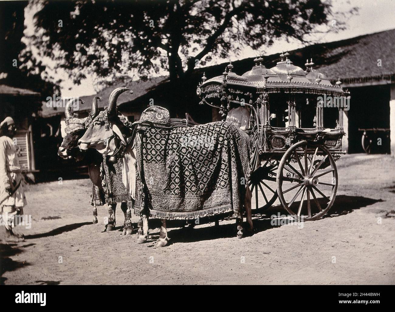 India: a decorative carriage pulled by oxen decorated with ornate ...