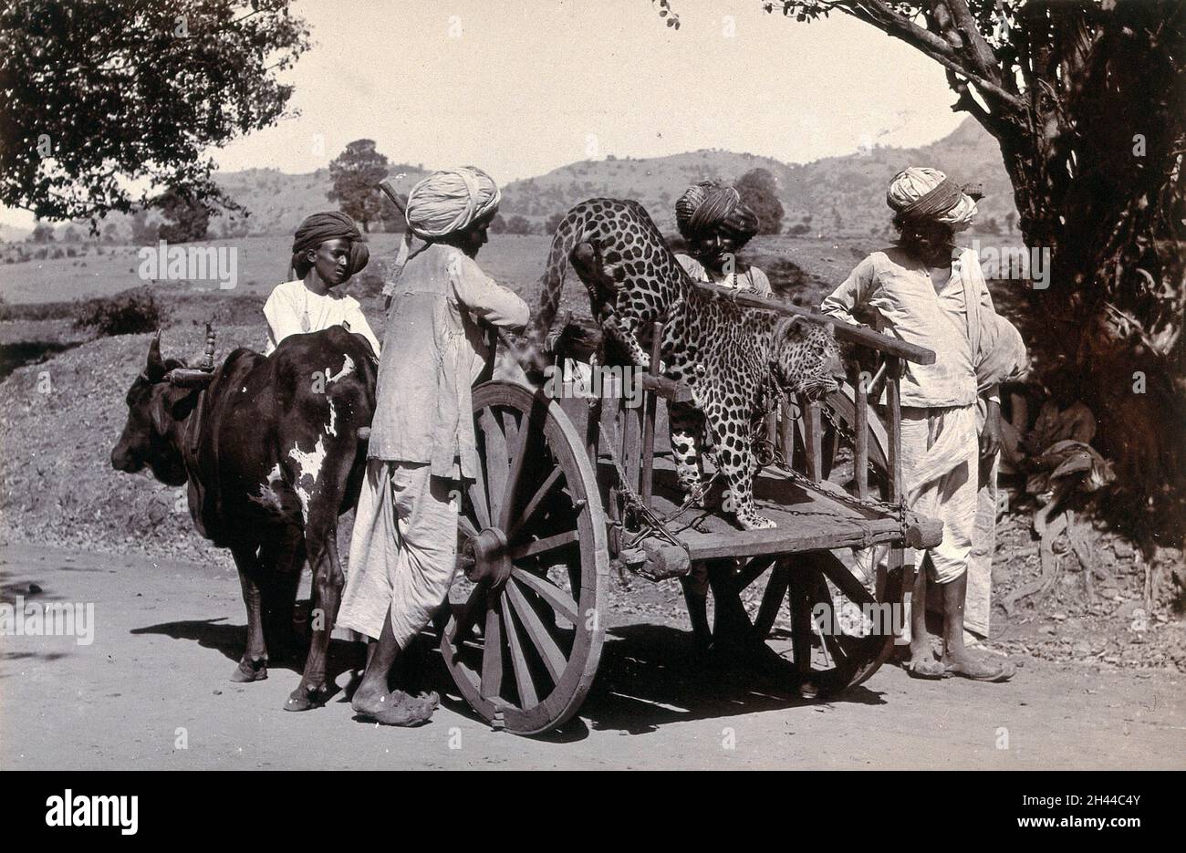 Men in india 1900 hi-res stock photography and images - Alamy