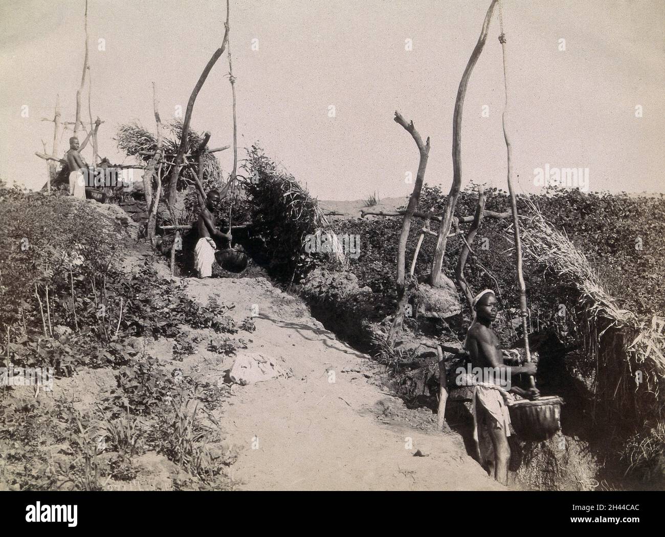 Shadufs, or water cranes, North Africa: men are shown operating water ...