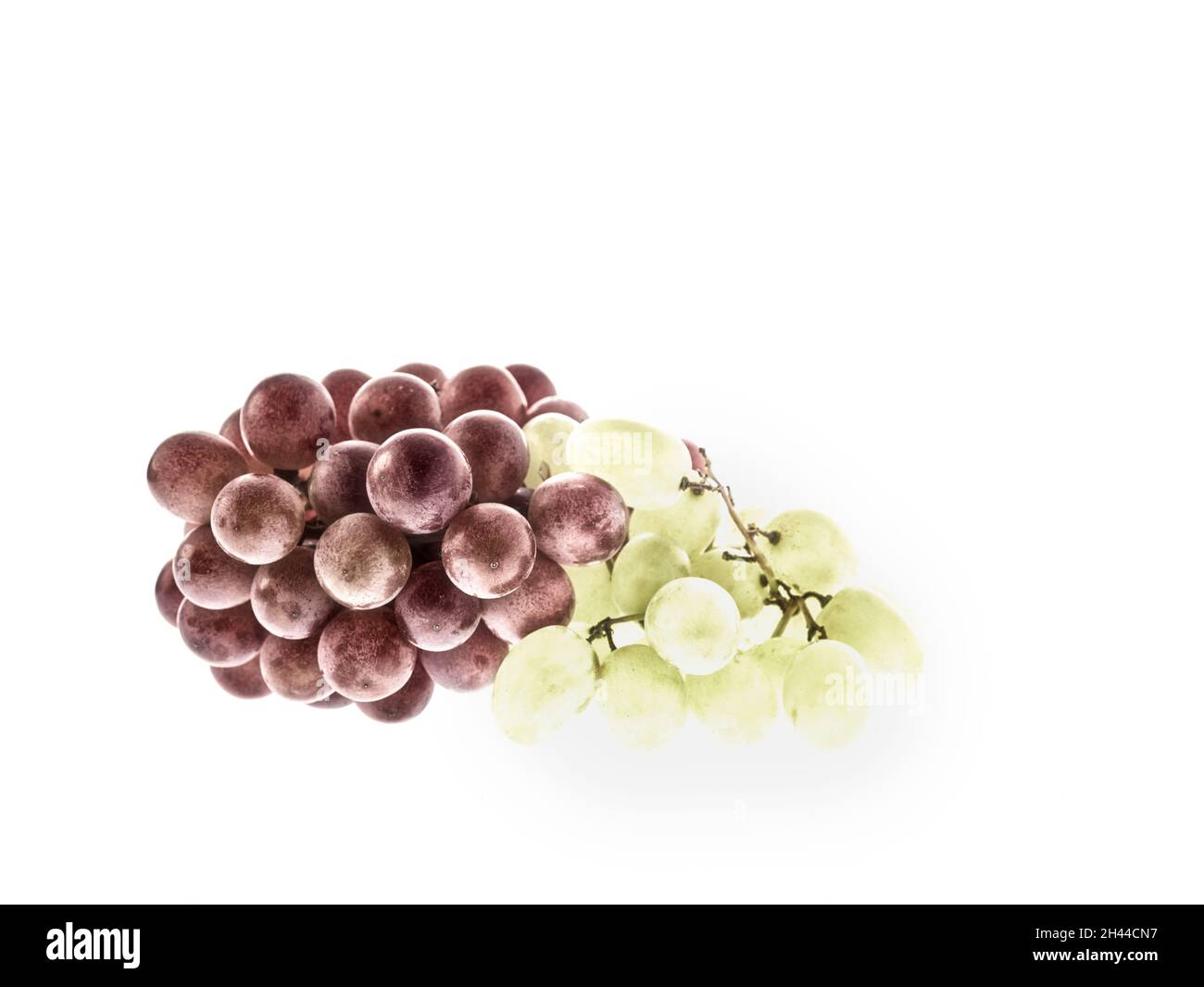 Grapes food still-life on plain background Stock Photo - Alamy