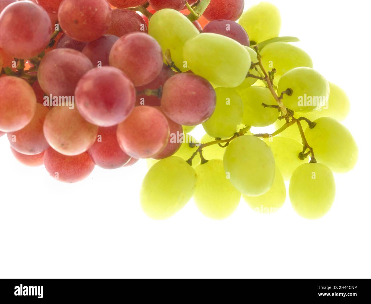 Grapes food still-life on plain background Stock Photo - Alamy