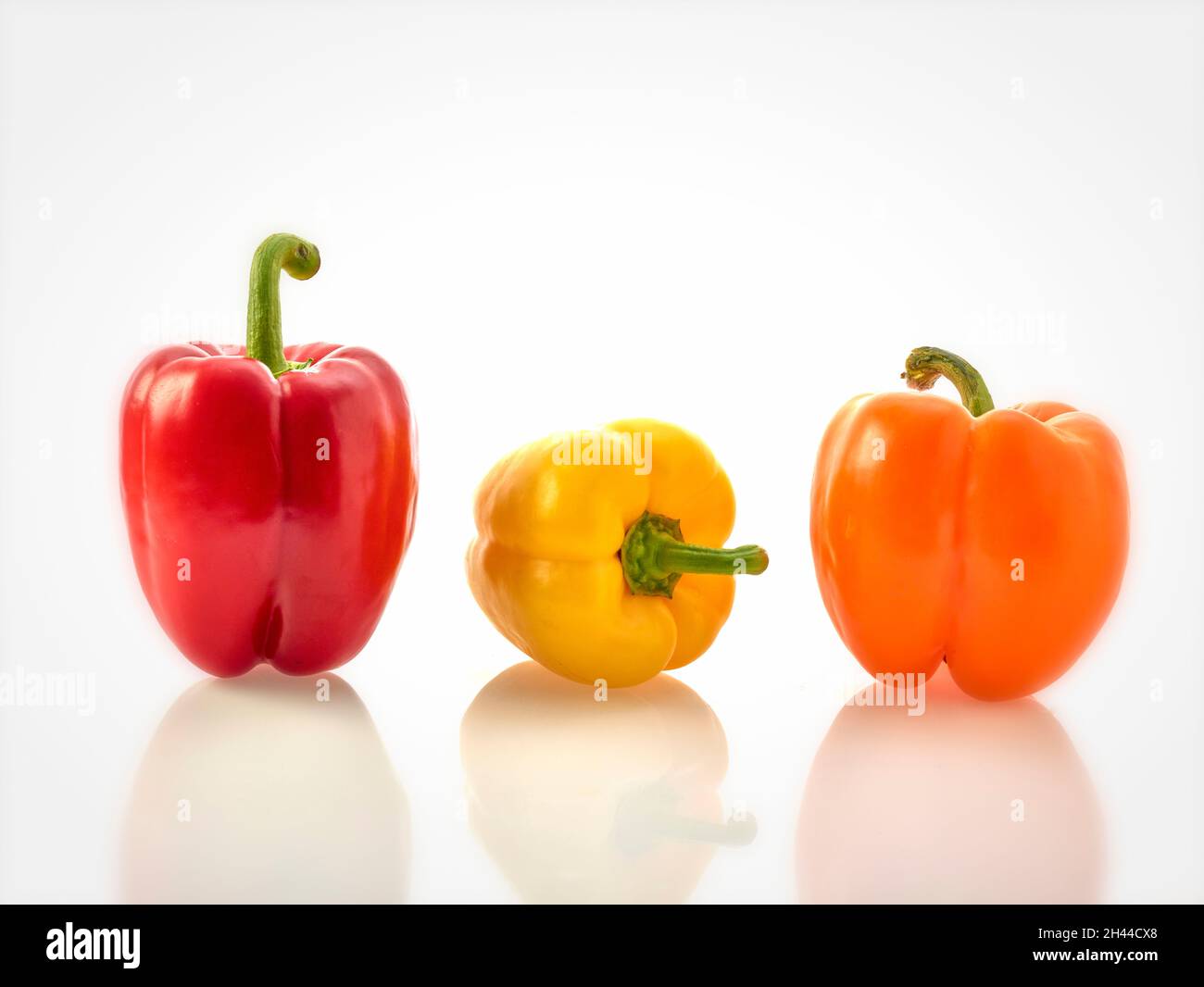 Sweet pepper (Capsicum annuum) food still life on white background ...