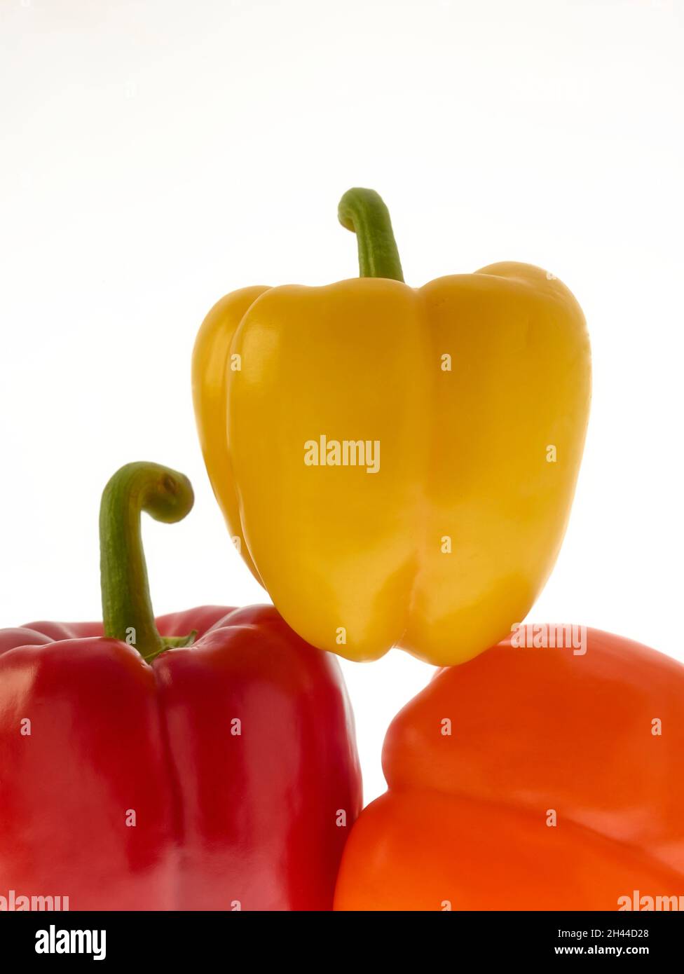 Sweet pepper (Capsicum annuum) food still life on white background ...