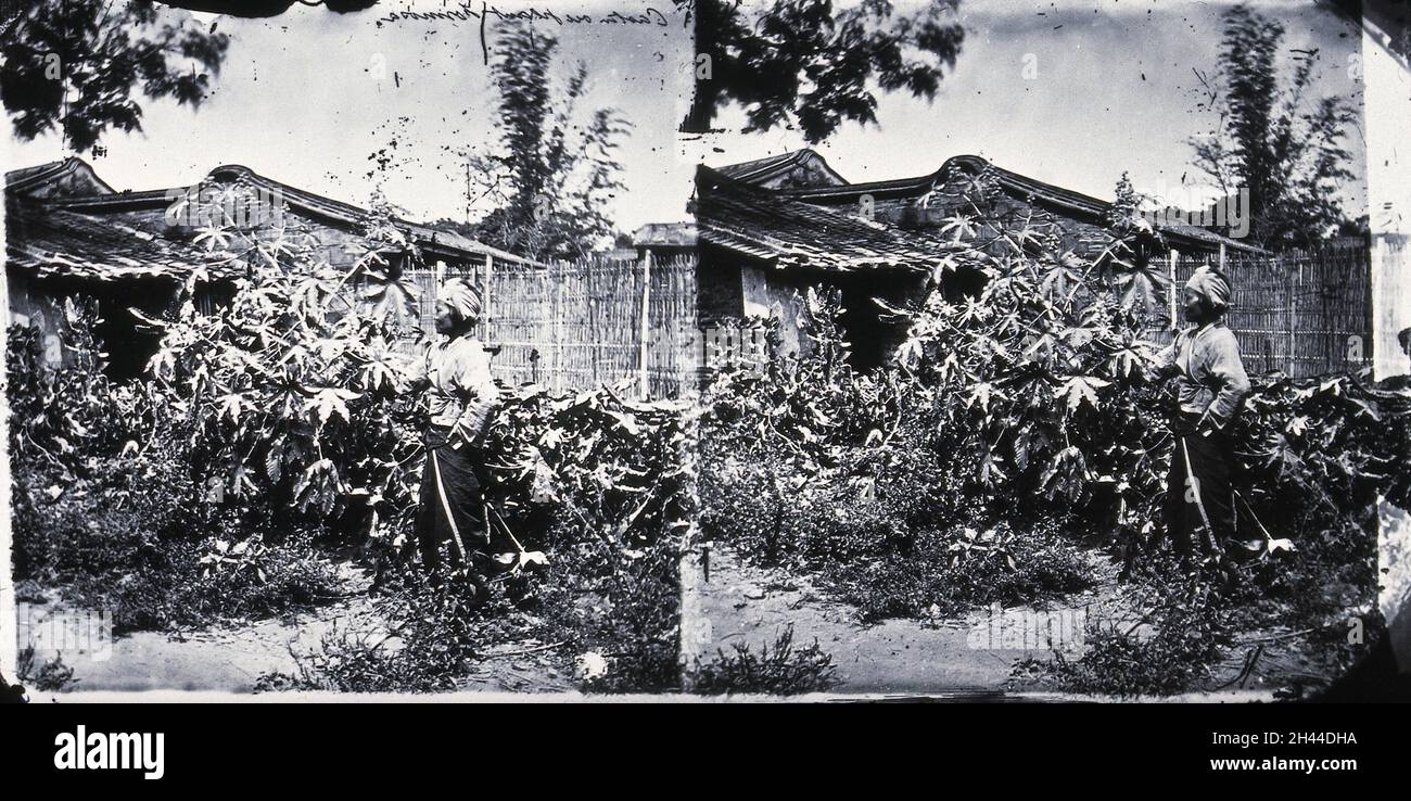 Formosa (Taiwan). Photograph, 1981, from a negative by John Thomson, ca ...