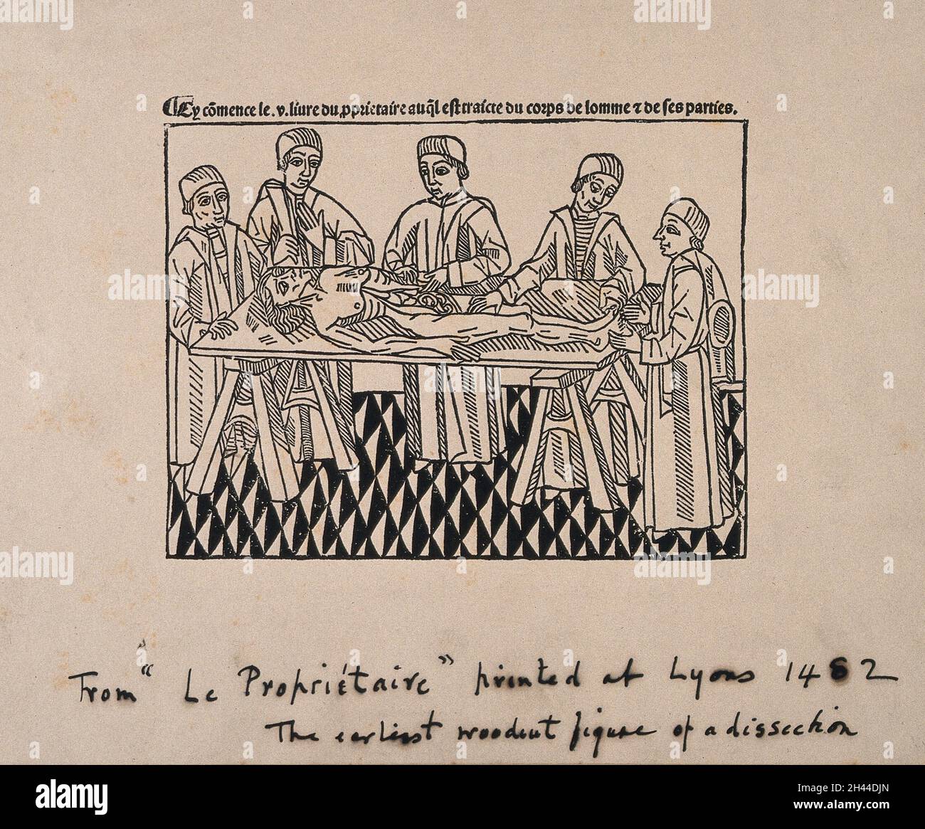 A dissection, with five attending figures. Line block after a woodcut ...