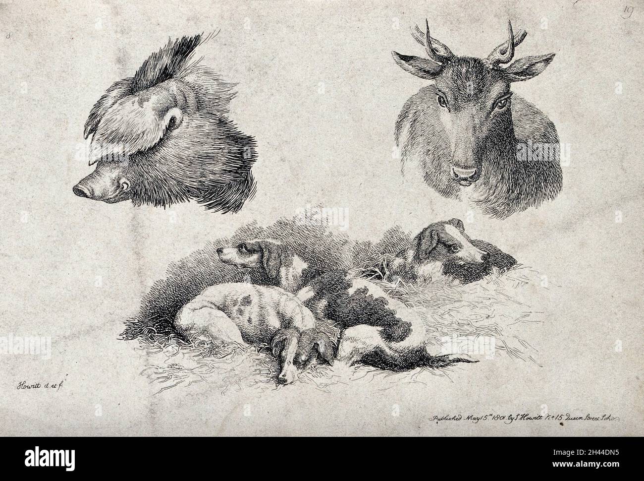 Above, a hog's head and a stag's head; below, hunting dogs resting in ...