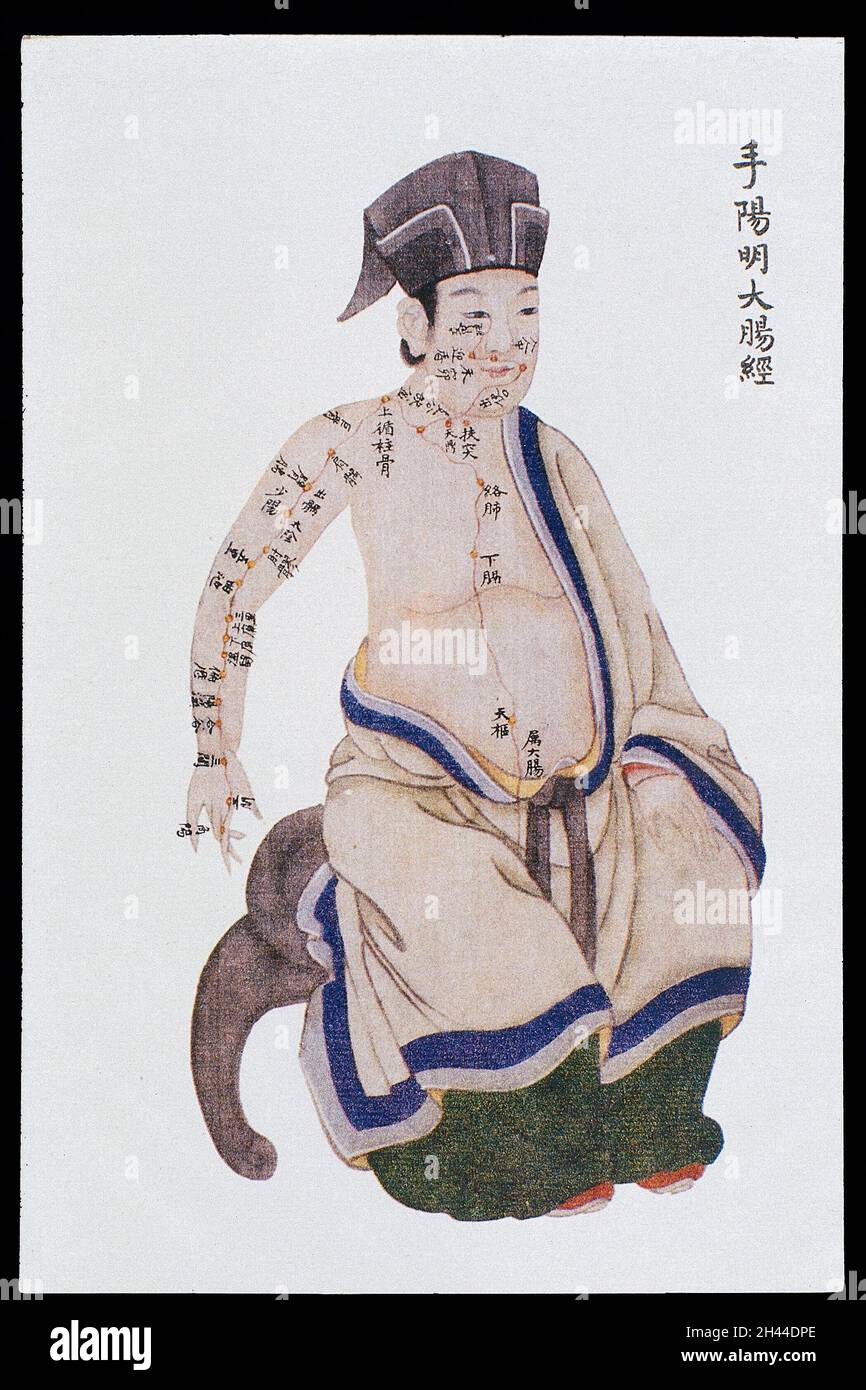 Large intestine channel of arm yangming, C17/18 Chinese Stock Photo - Alamy