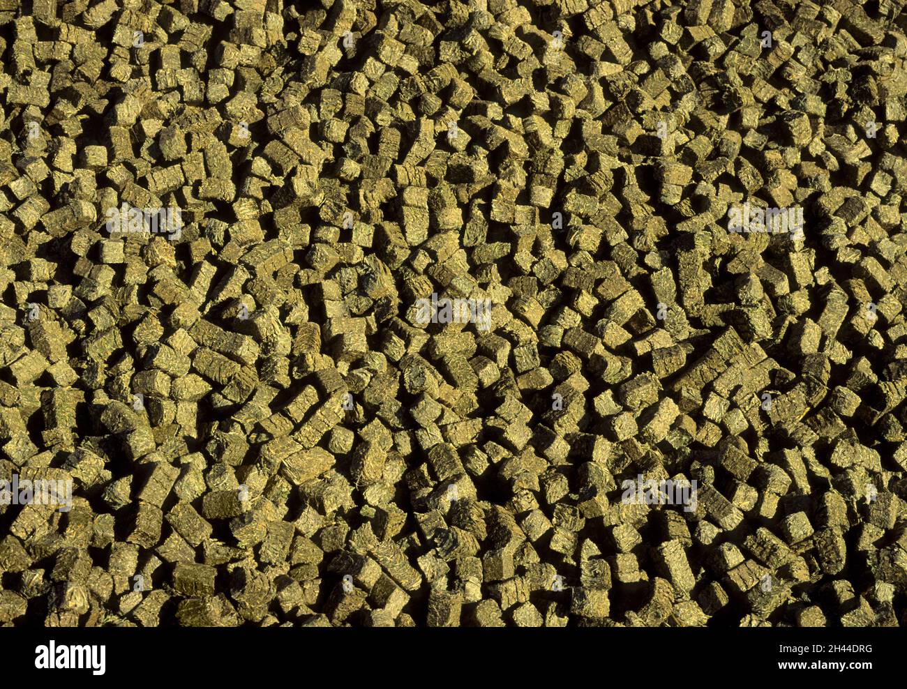 Alfalfa cube hi-res stock photography and images - Alamy