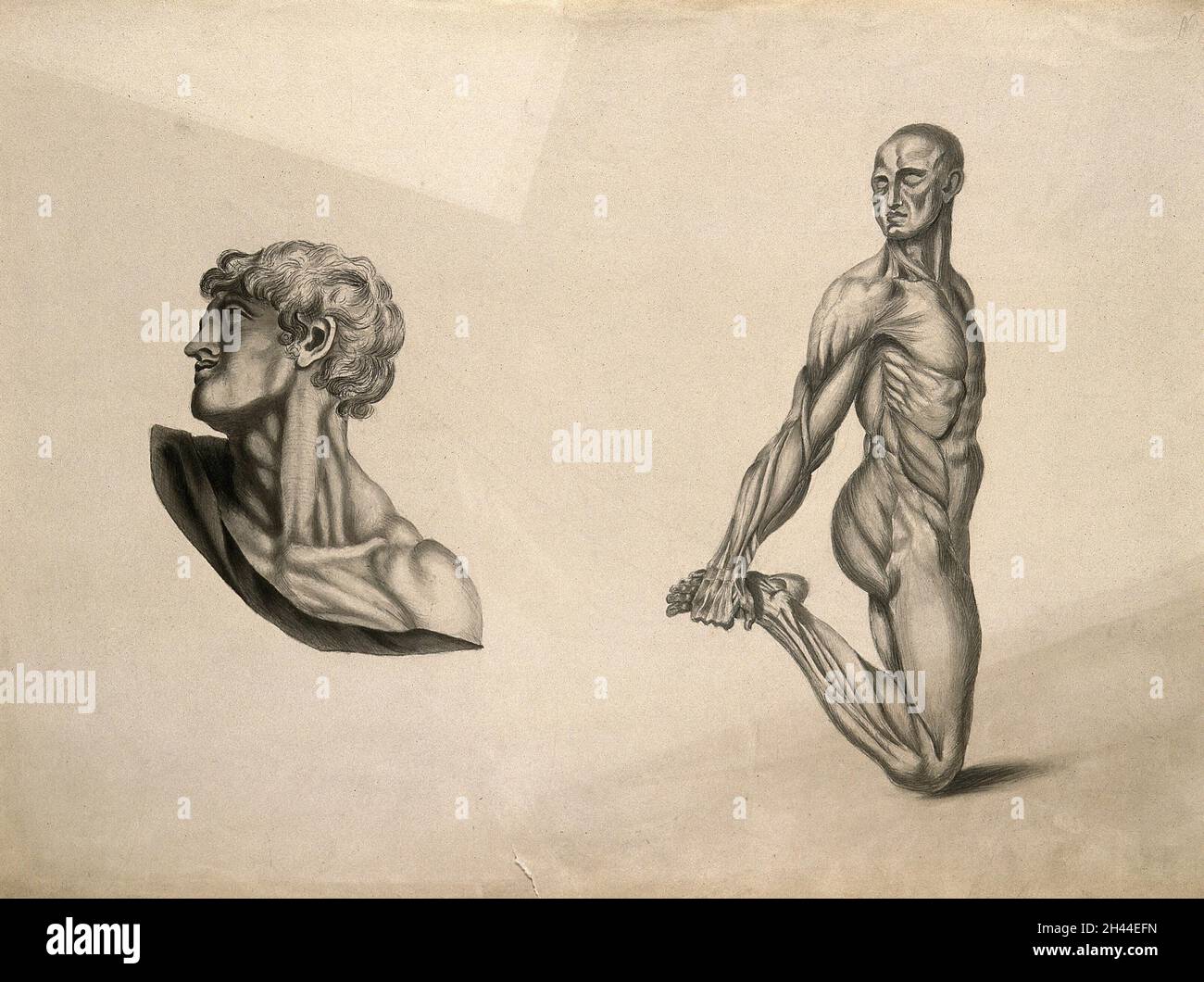 Écorché figure with right leg bent, holding foot behind him, and detail ...