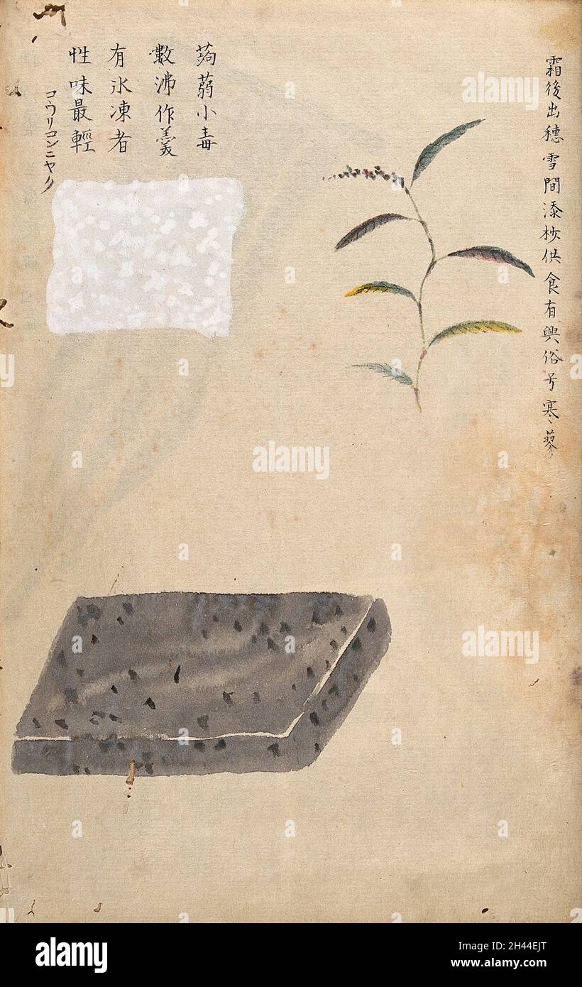 Gel like substance hi-res stock photography and images - Alamy