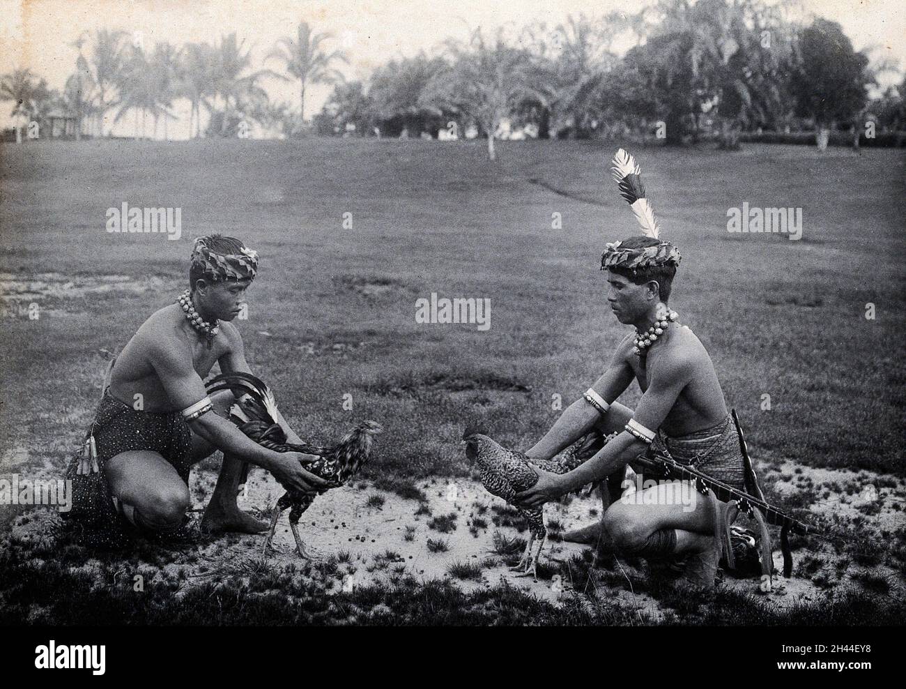 Of dayaks hi-res stock photography and images - Alamy