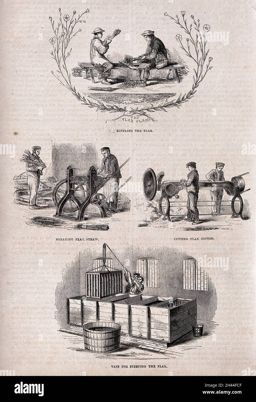 Textiles: four vignettes of stages in preparation of linen from flax ...