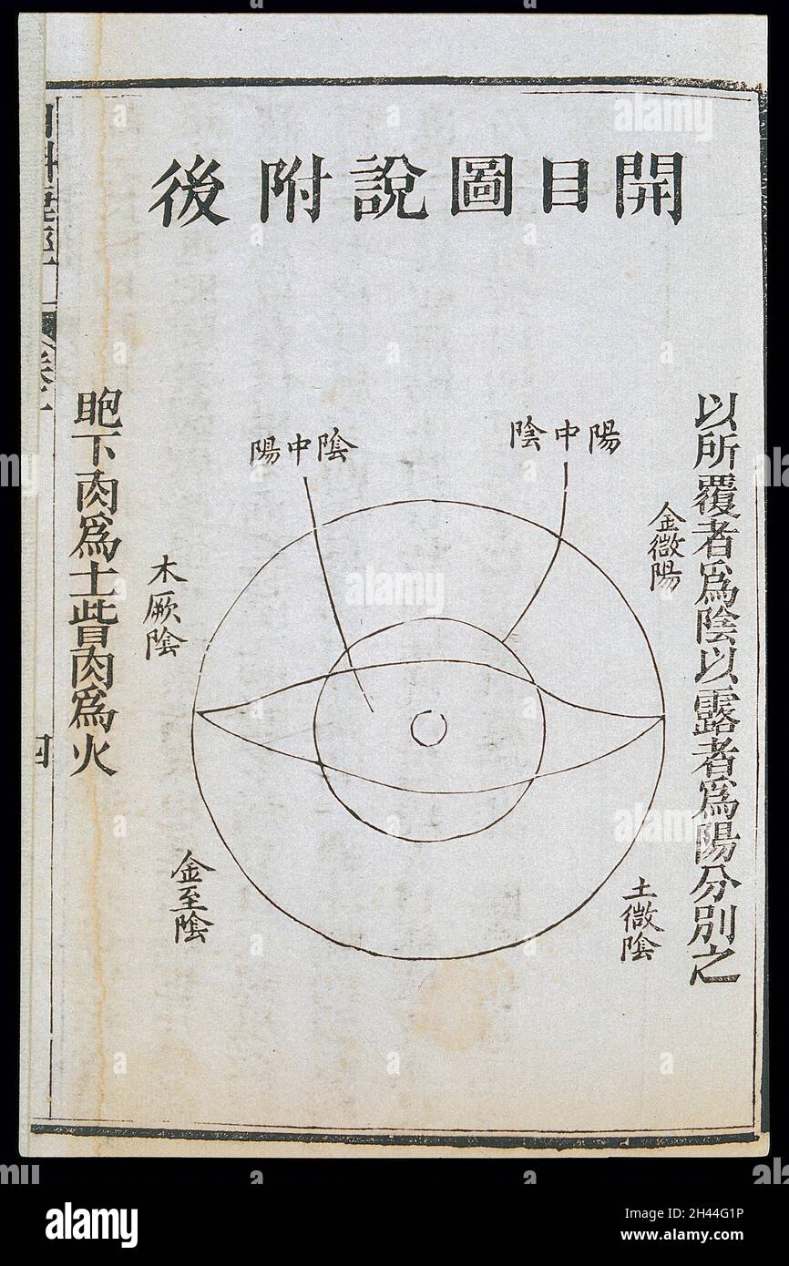 C19 Chinese eye diagnosis chart showing Yin and Yang division Stock ...