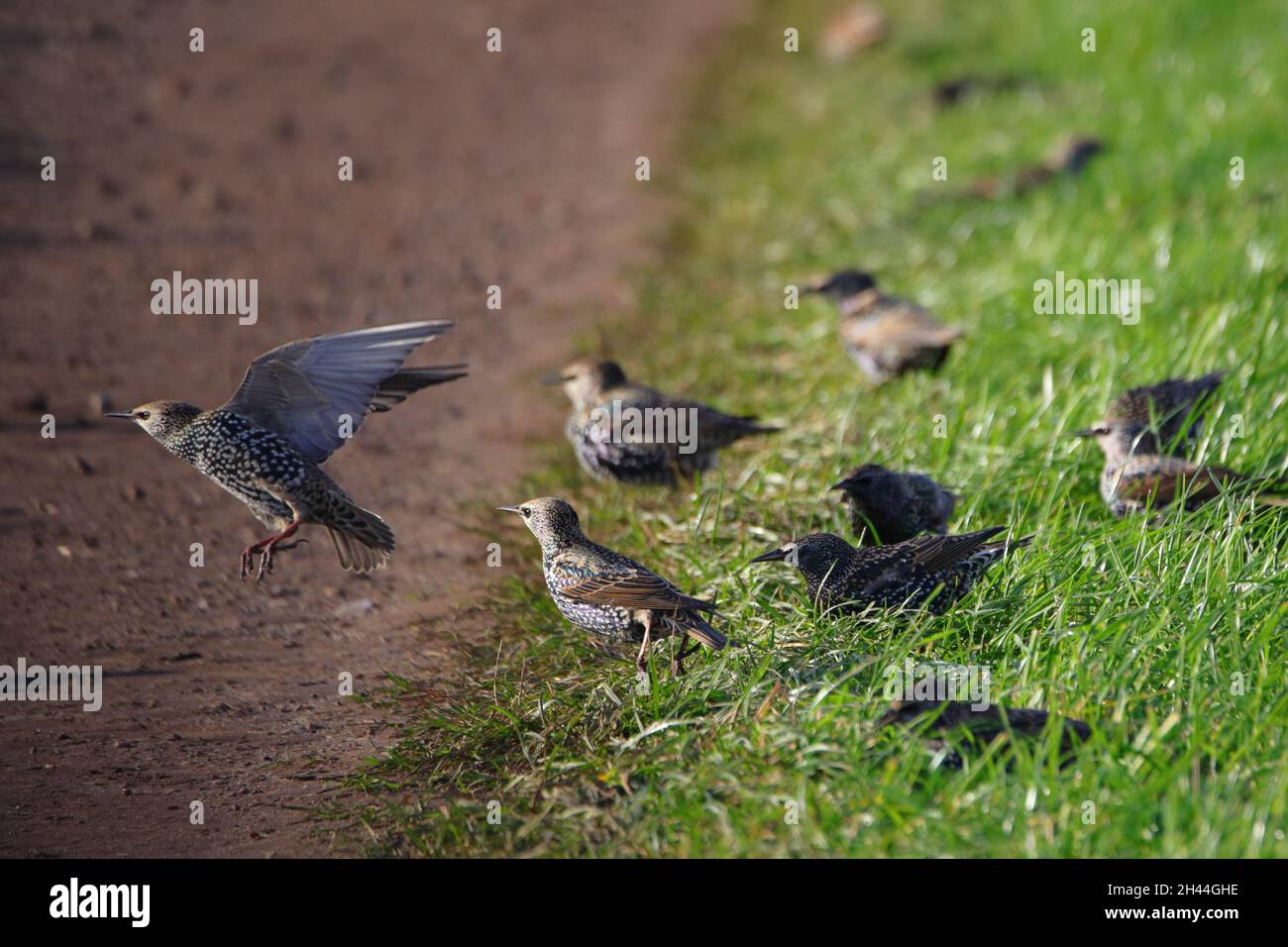 Playing field road hi-res stock photography and images - Alamy