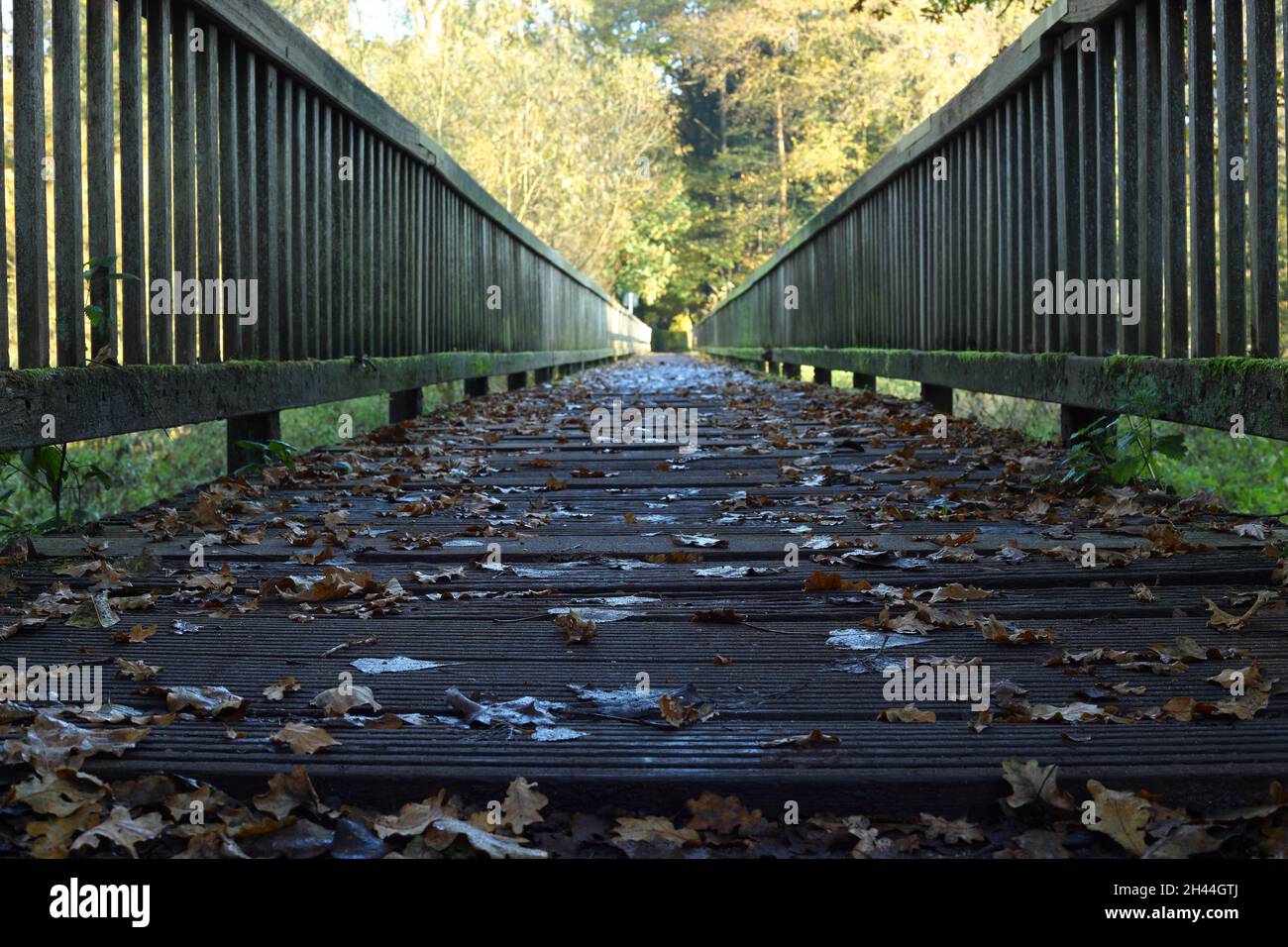 Bridge with leaves hi-res stock photography and images - Alamy