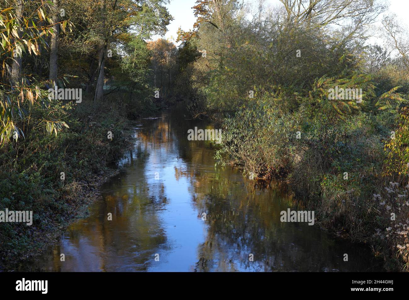 Small river in woodland hi-res stock photography and images - Alamy