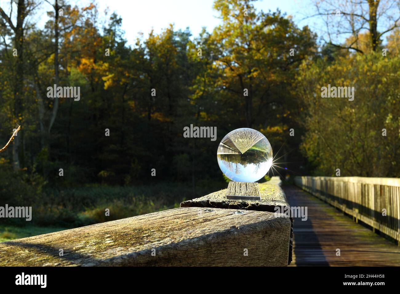 Wooden railing hi-res stock photography and images - Alamy