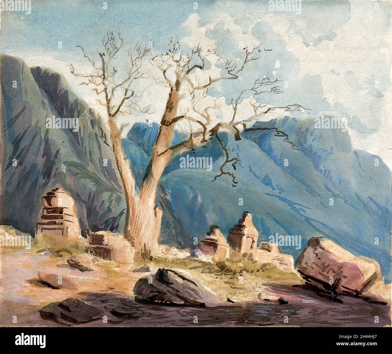 Old poplar tree (Populus euphrasica) with stone monuments in Ladák ...