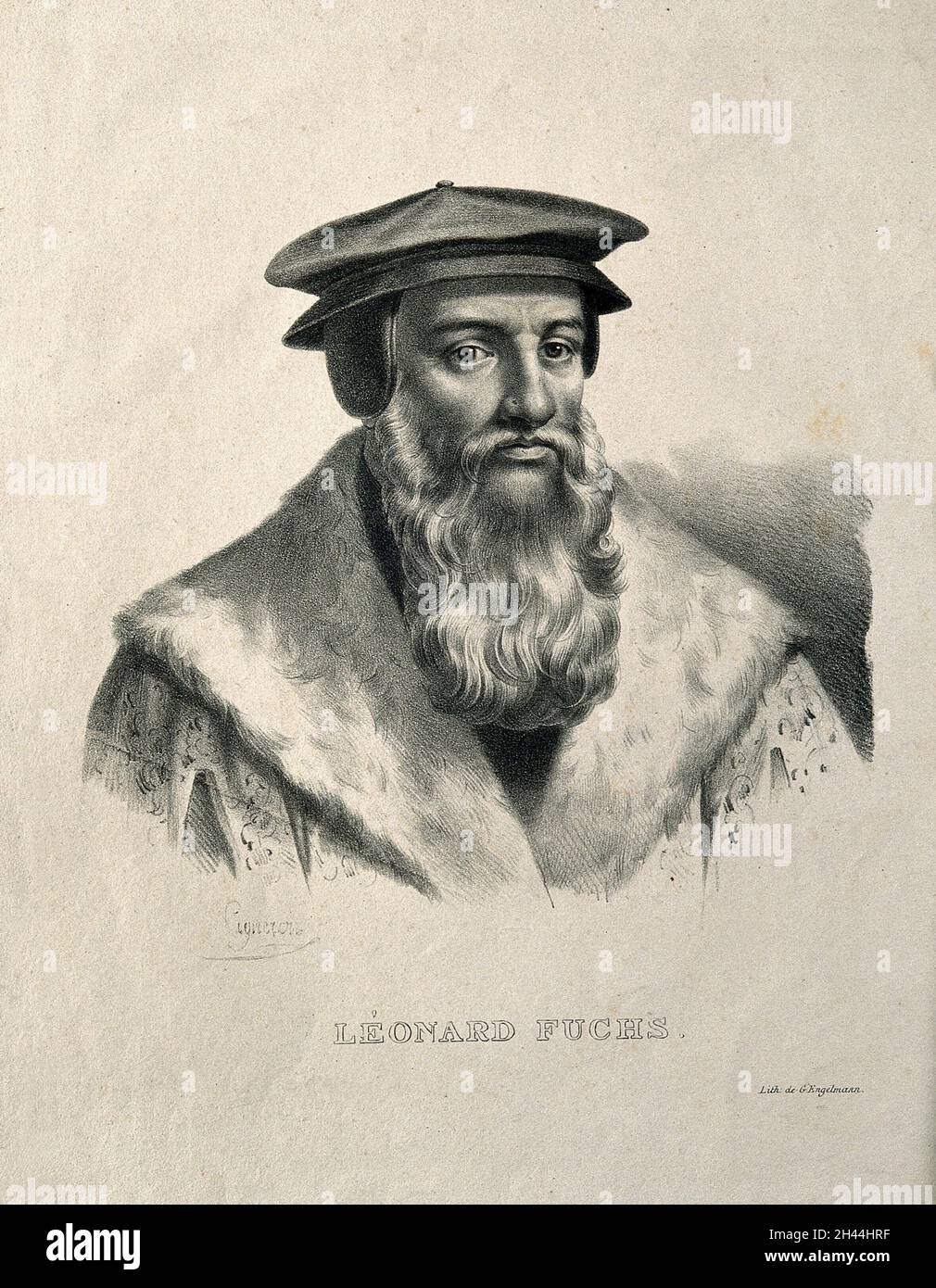 Fuchs leonard hi-res stock photography and images - Alamy