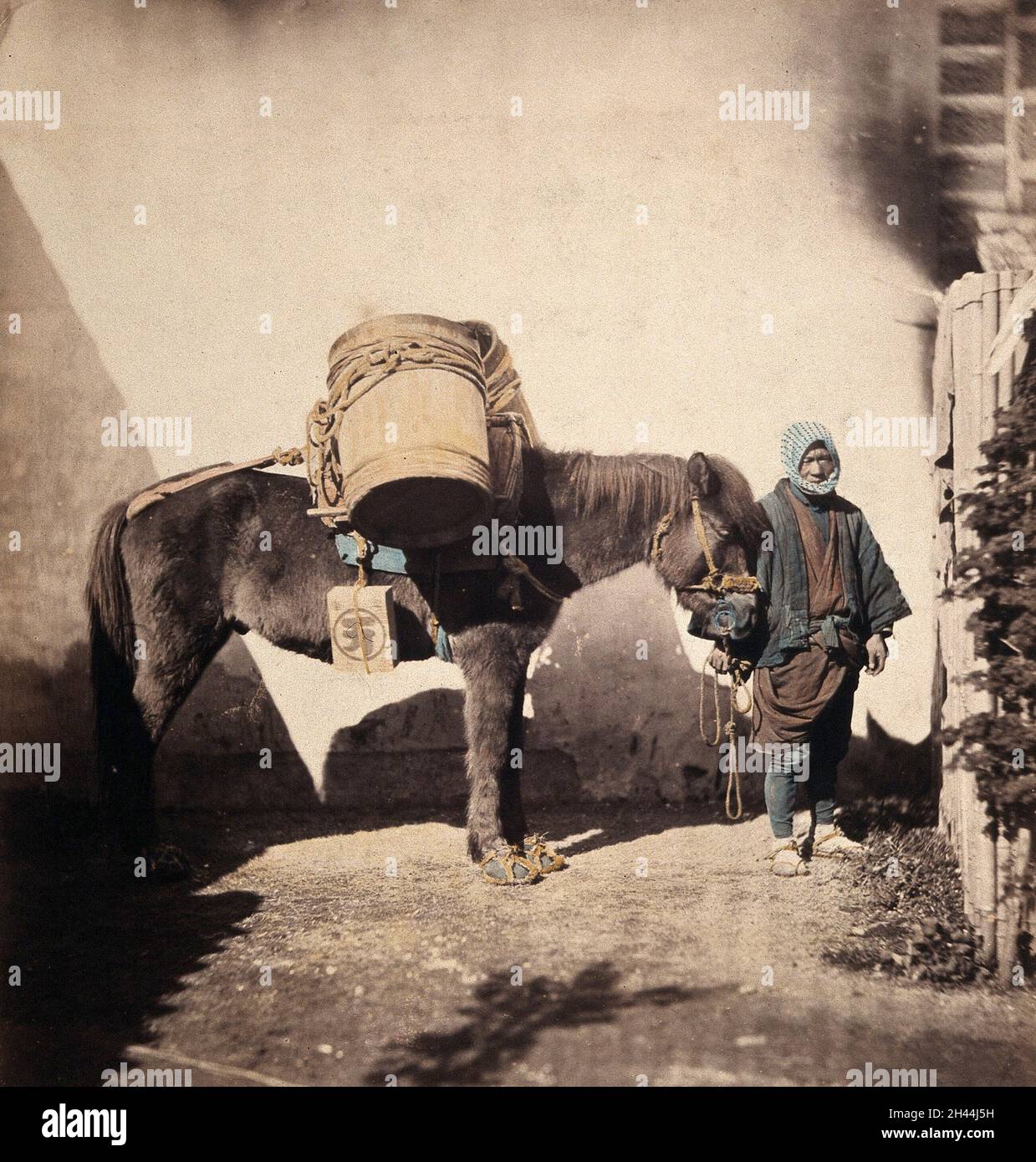 Takaido, Japan: a pack pony wearing straw shoes with its leader ...