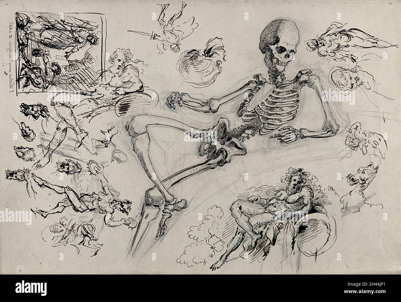 A seated skeleton; five sketches of a seated figure and a leg and foot ...
