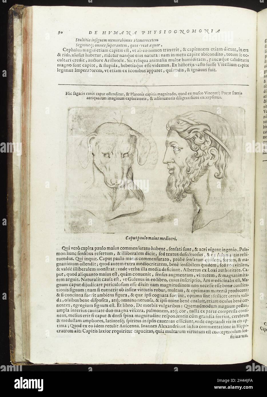 Illustration emphasizing the ancient pseudo-science of physiognomy ...