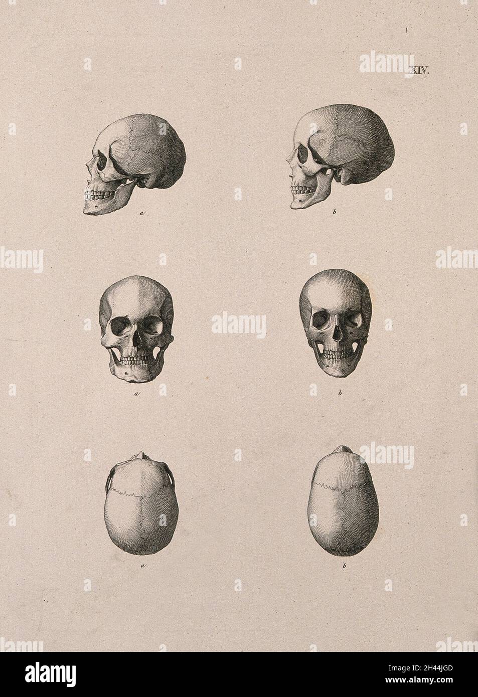 Six human figures hi-res stock photography and images - Alamy