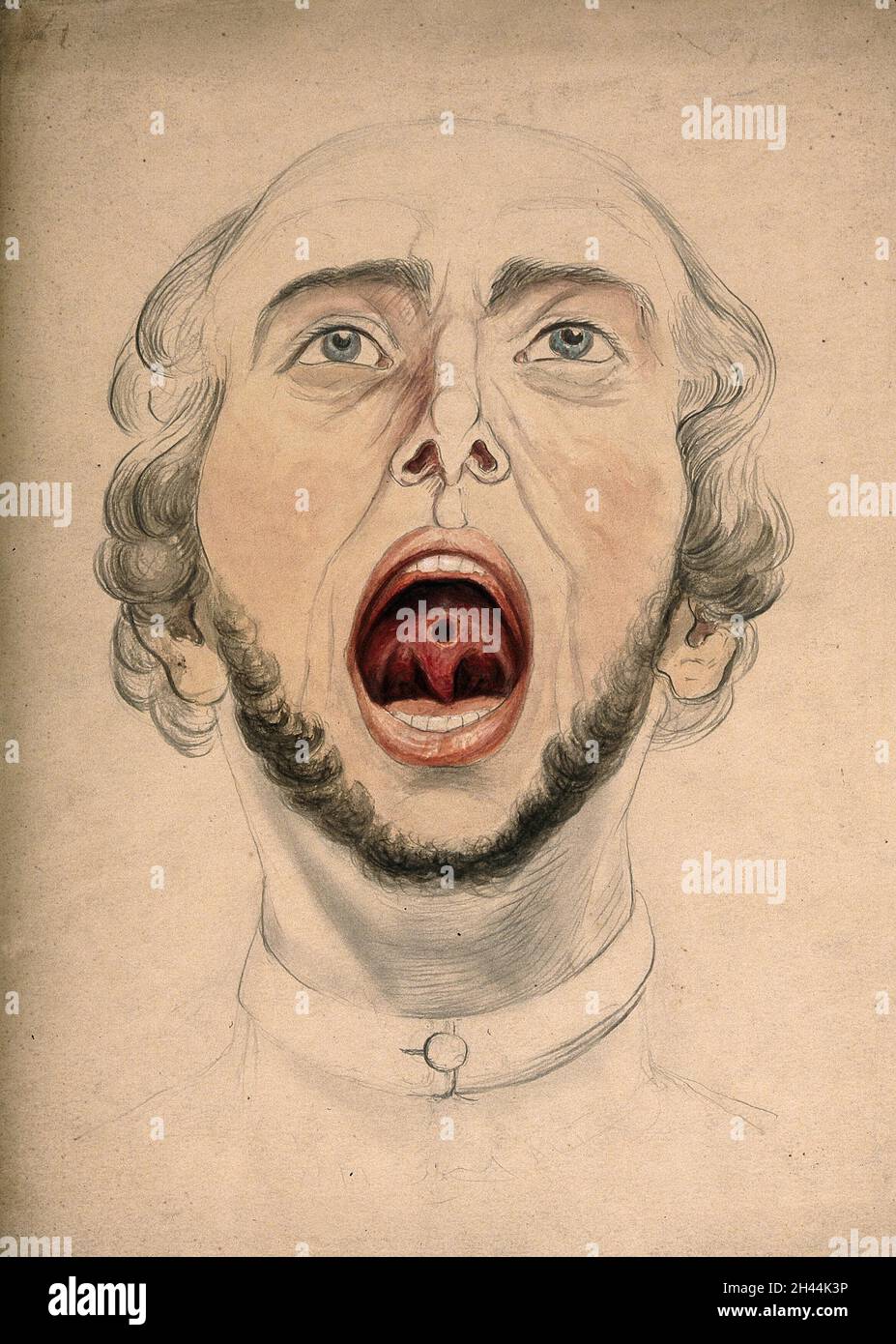 Soft palate mouth hi-res stock photography and images - Alamy