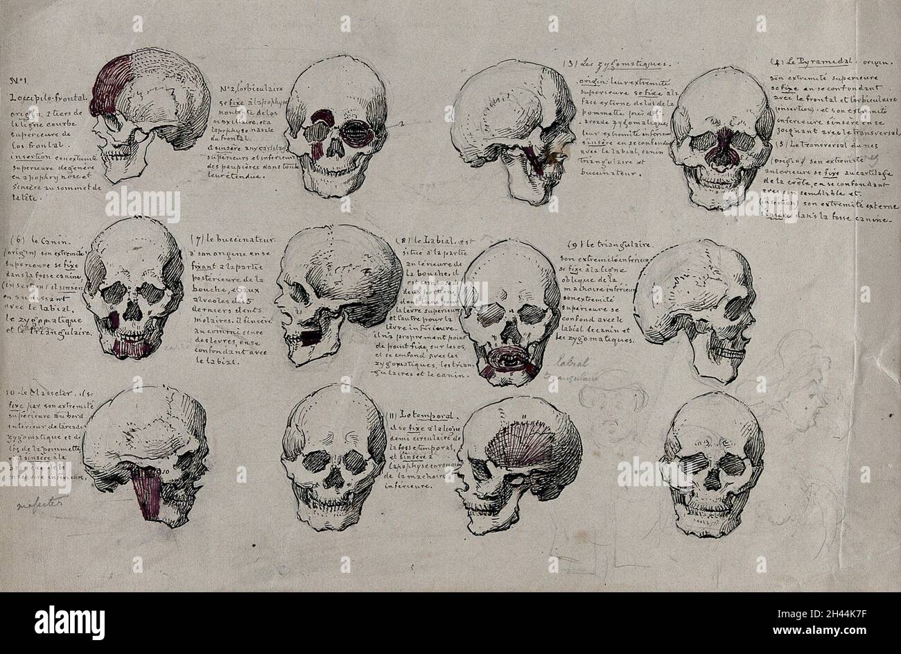 Labeled sketches detail hi-res stock photography and images - Alamy