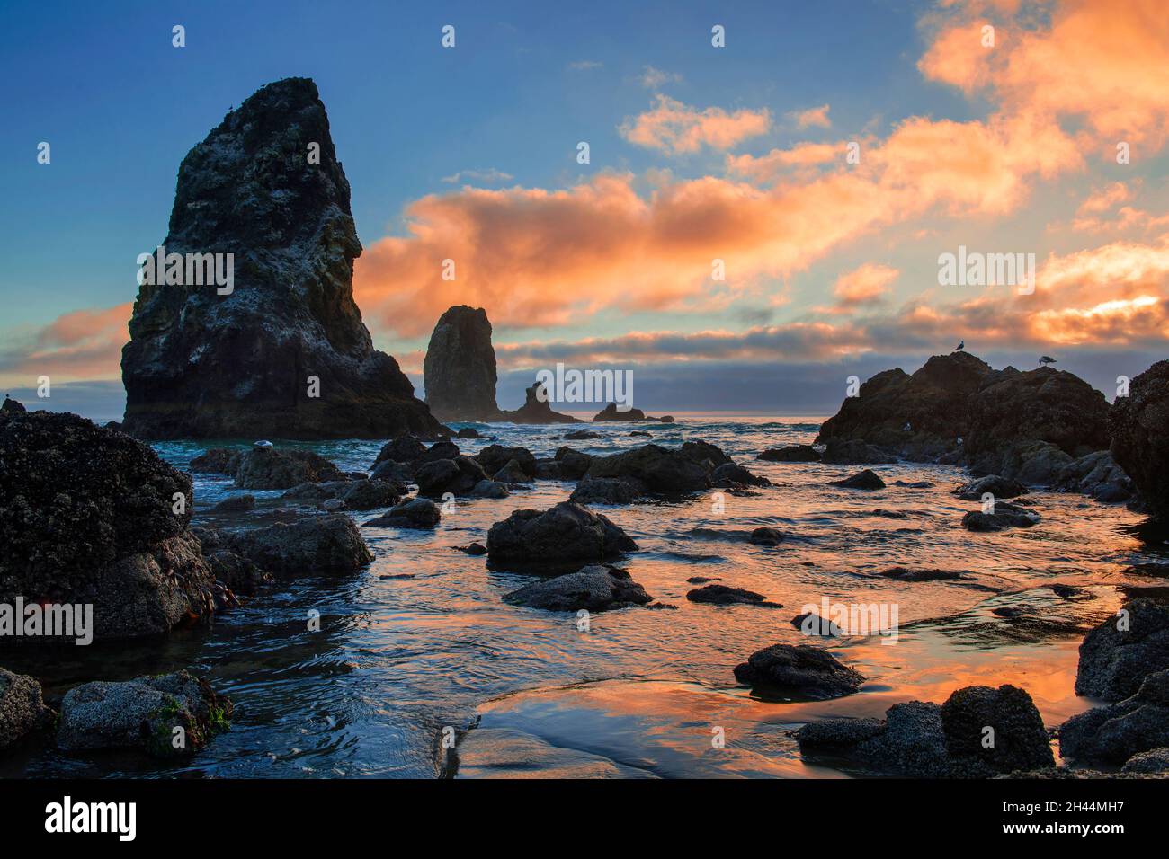 Sunset behind the Needles at Haystack Rock, Cannon Beach, Oregon Stock ...