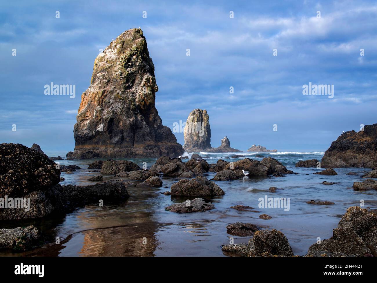 The Needles near Haystack Rock, Cannon Beach, Oregon Stock Photo - Alamy